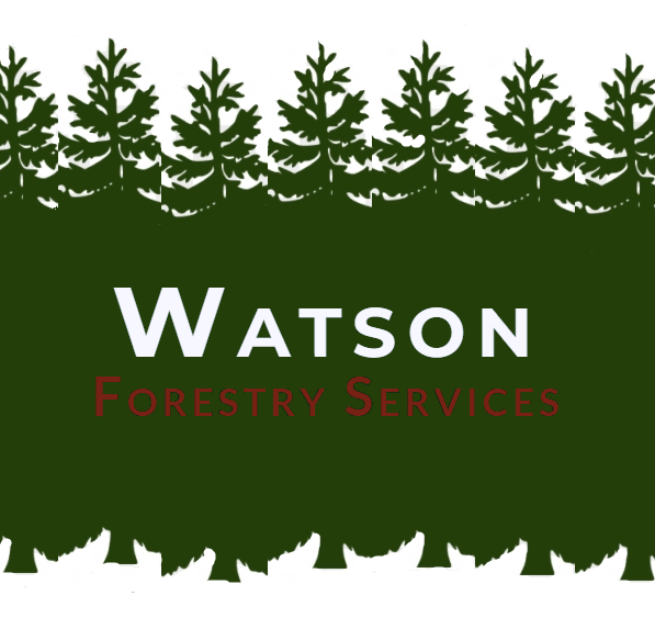 Watson Forestry | Growing A Sustainable Future